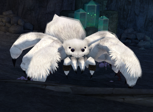 Spider - Auranogi