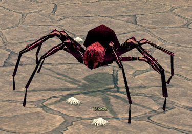 Spider - Auranogi